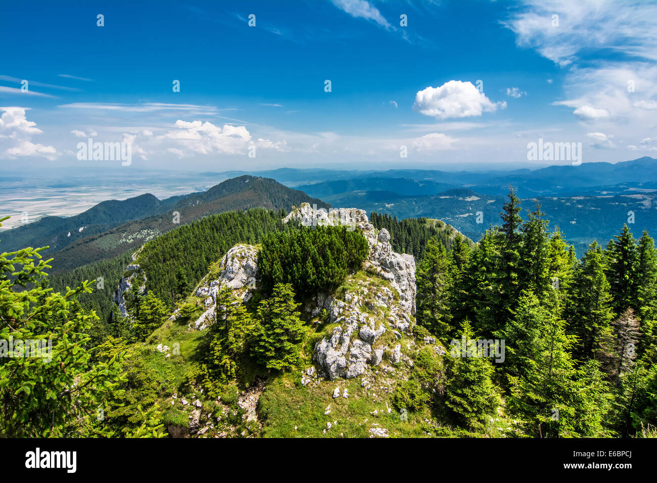 Mountain track in Romania on Piatra Mare Stock Photo - Alamy