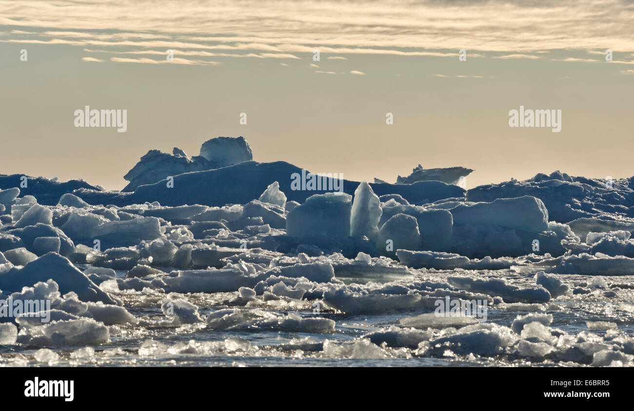 Ice floes, edge of the pack ice, Arctic Ocean, Spitsbergen, Svalbard ...