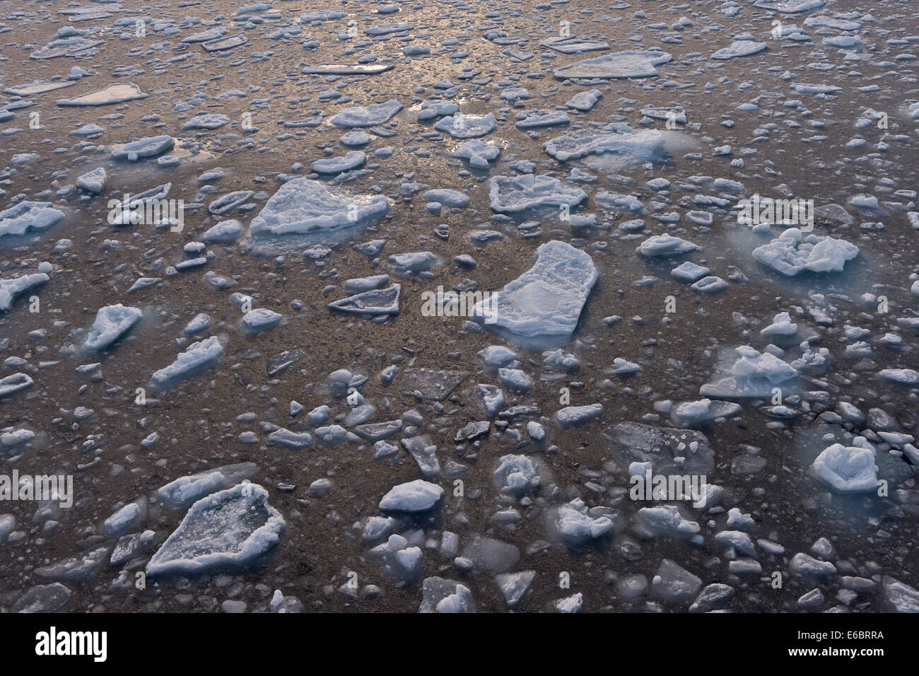 Freezing sea, ice floes, edge of the pack ice, Arctic Ocean ...