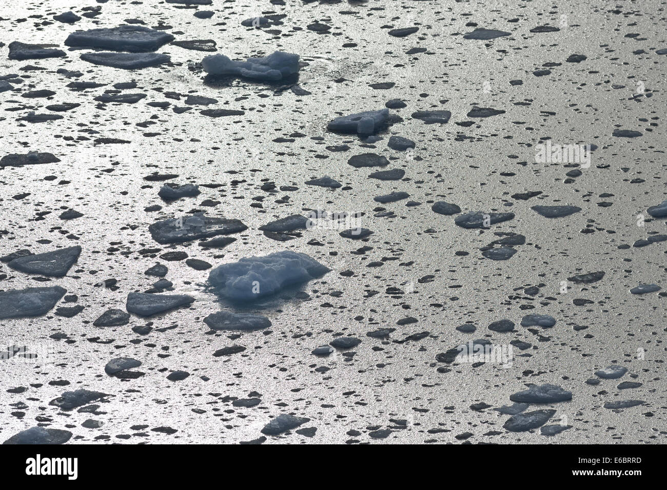 Ice floes, edge of the pack ice, Arctic Ocean, Spitsbergen, Svalbard ...