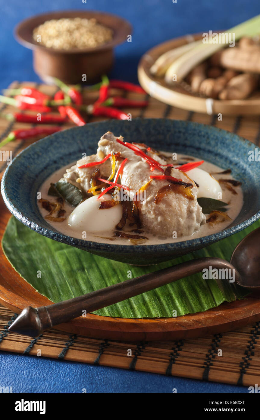 Opor ayam. Chicken cooked in coconut milk. Indonesia Food Stock Photo ...