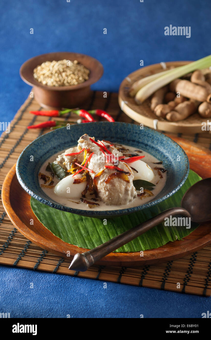 Opor ayam. Chicken cooked in coconut milk. Indonesia Food Stock Photo ...