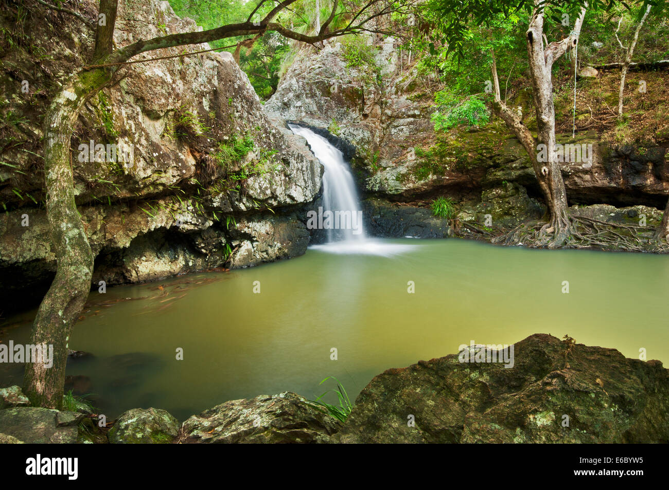 Peaceful scenery at Kondalilla Falls Stock Photo - Alamy