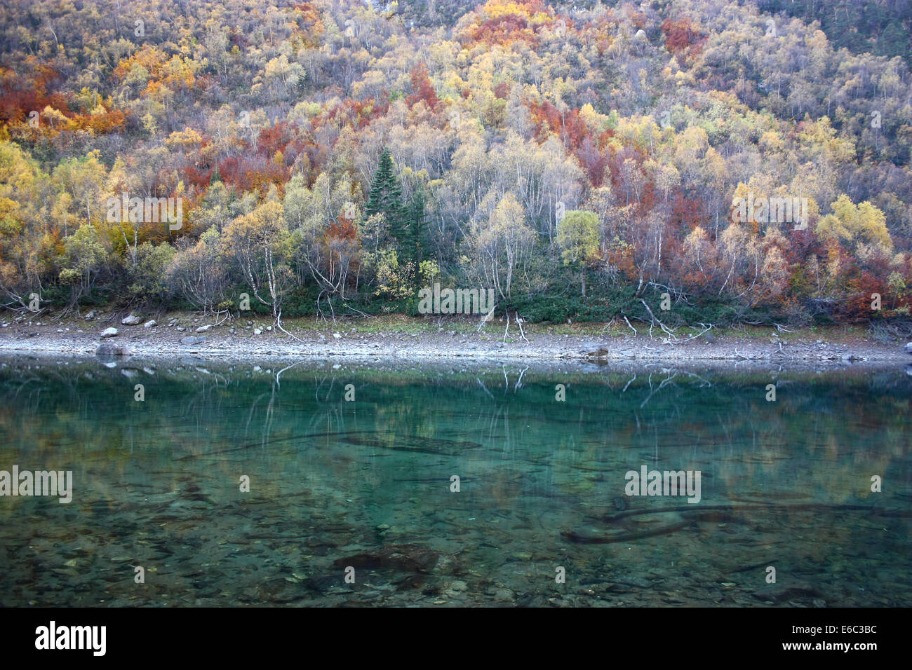Pure mountain lake, Inspiring wilderness of Alpine Stock Photo - Alamy