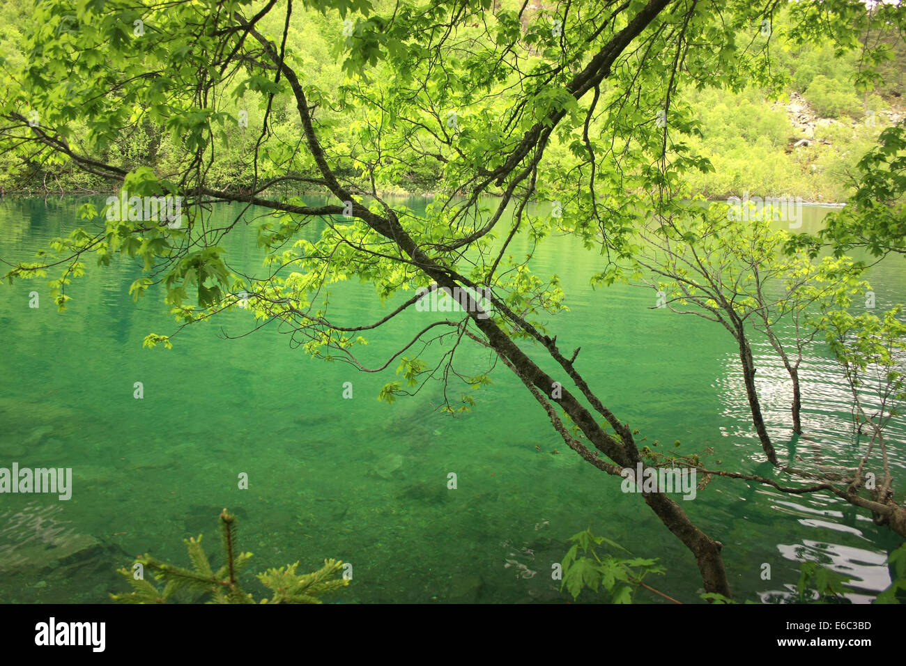 Pure mountain lake, Inspiring wilderness of Alpine Stock Photo - Alamy