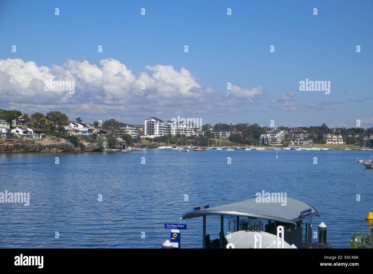 view of sydney suburbs cabarita and abbotsford from huntleys point ...