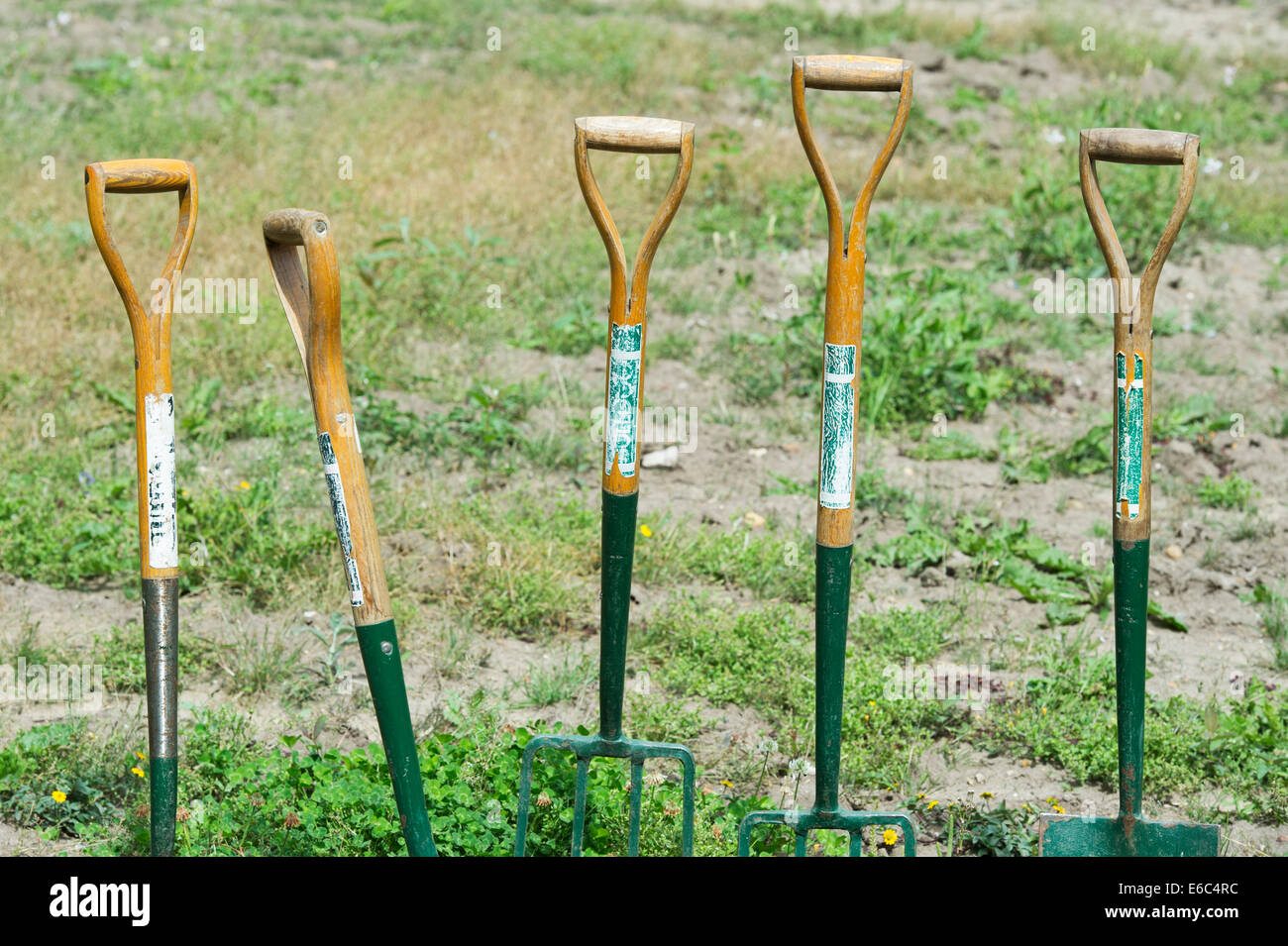 Garden Fork Handles Stock Photo - Alamy