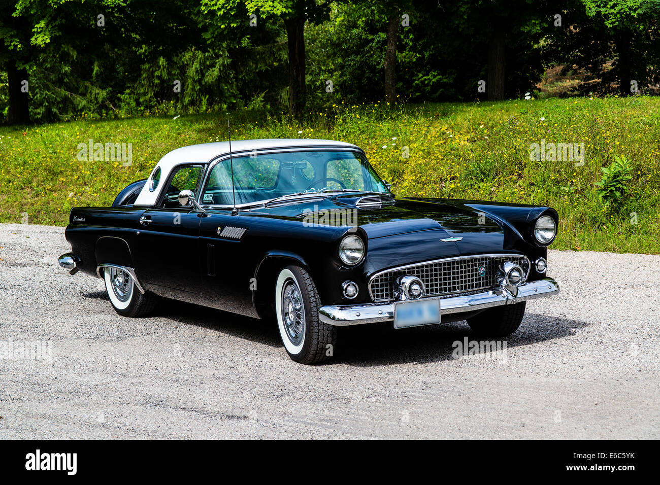 Hot Rod Third Gen T Bird