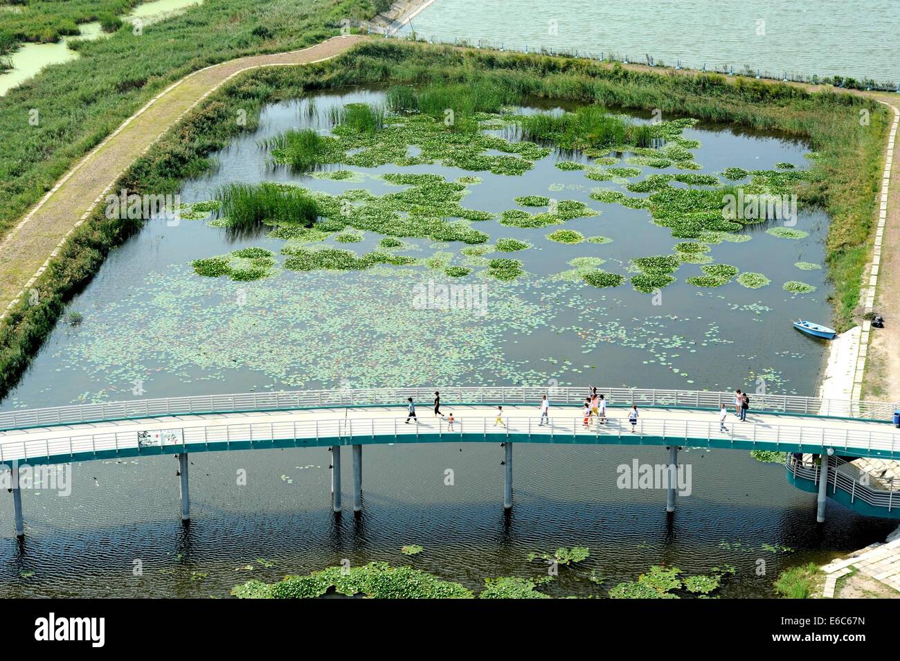Wetland reserve daqing city hi-res stock photography and images - Alamy