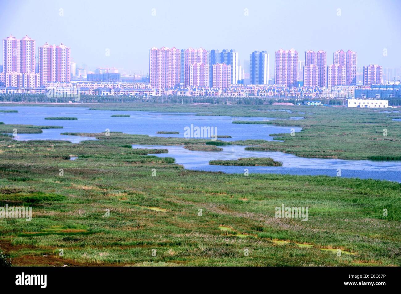 Wetland reserve daqing city hi-res stock photography and images - Alamy