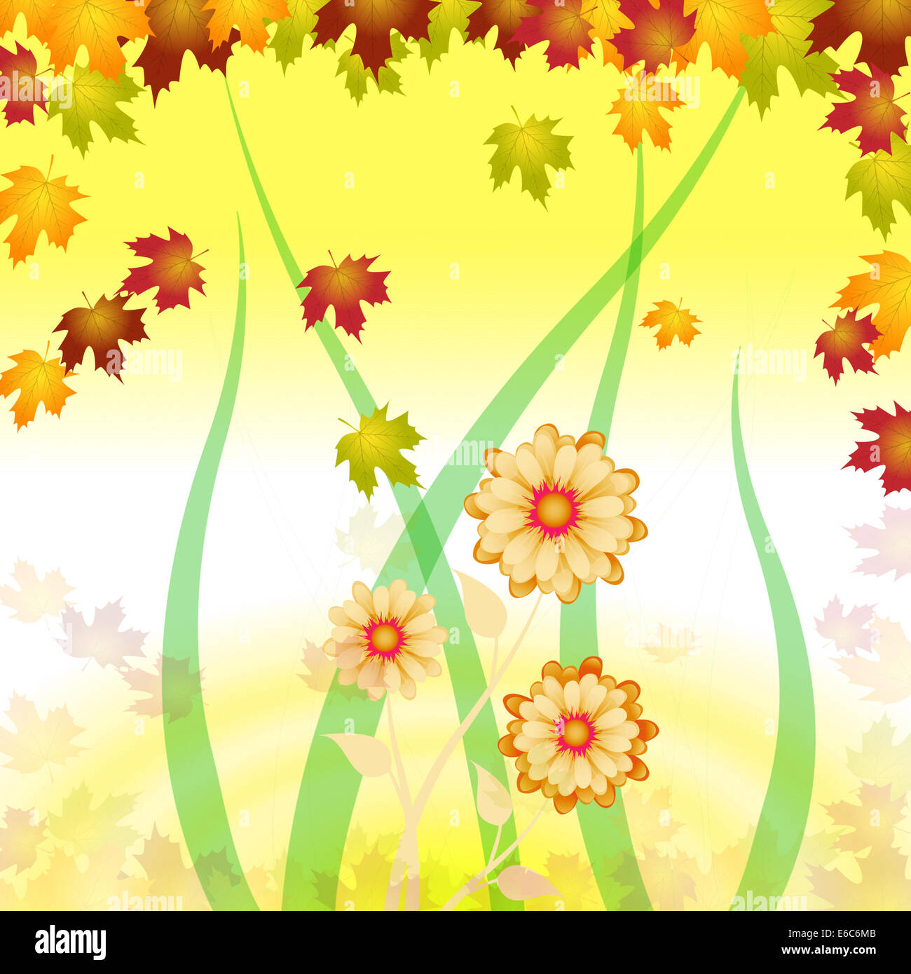 Floral Background Representing Flower Florals And Template Stock Photo ...