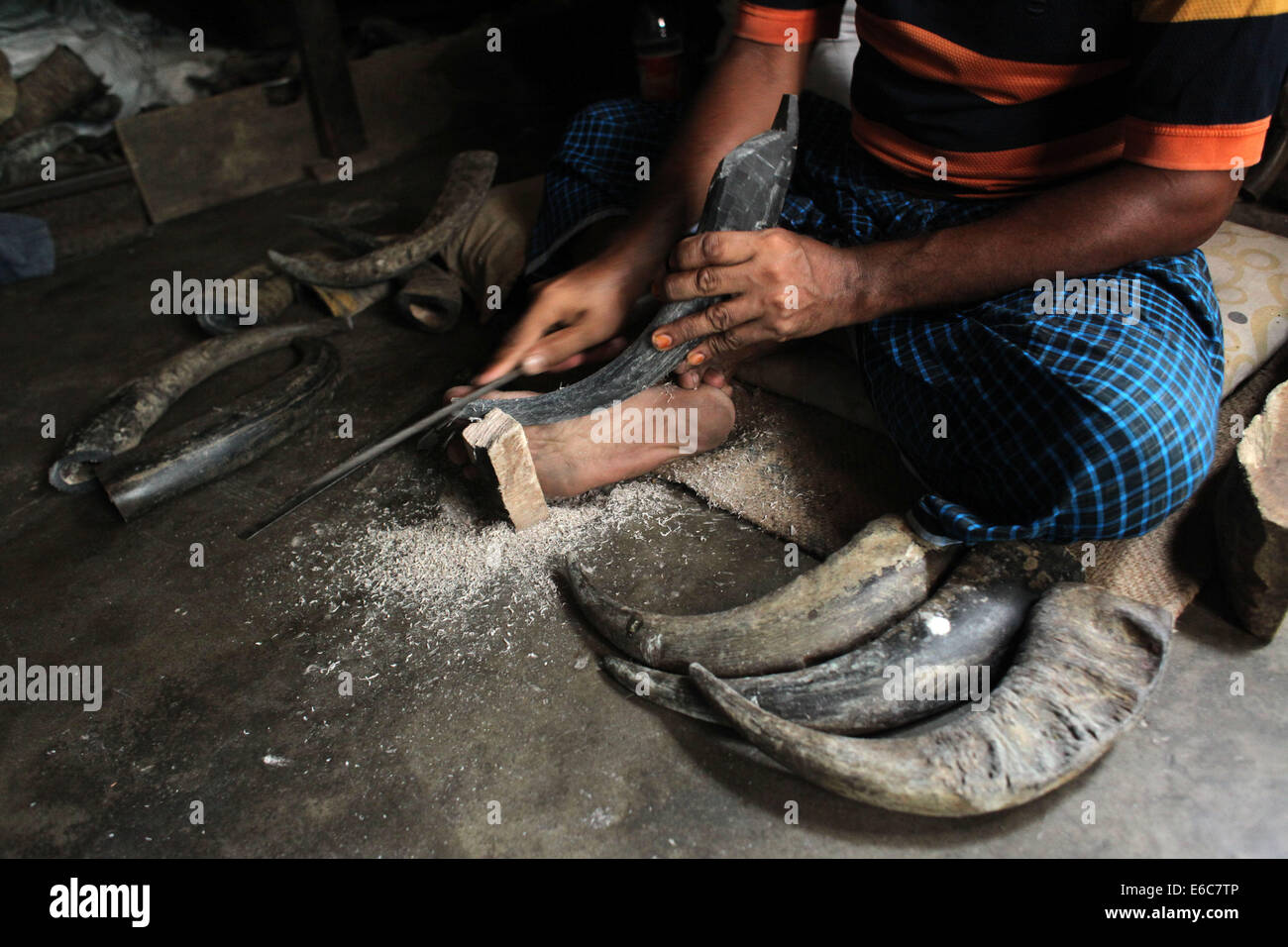 Buffelo High Resolution Stock Photography and Images - Alamy