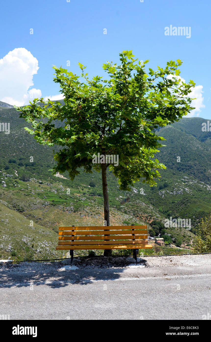 Bench under tree Stock Photo - Alamy