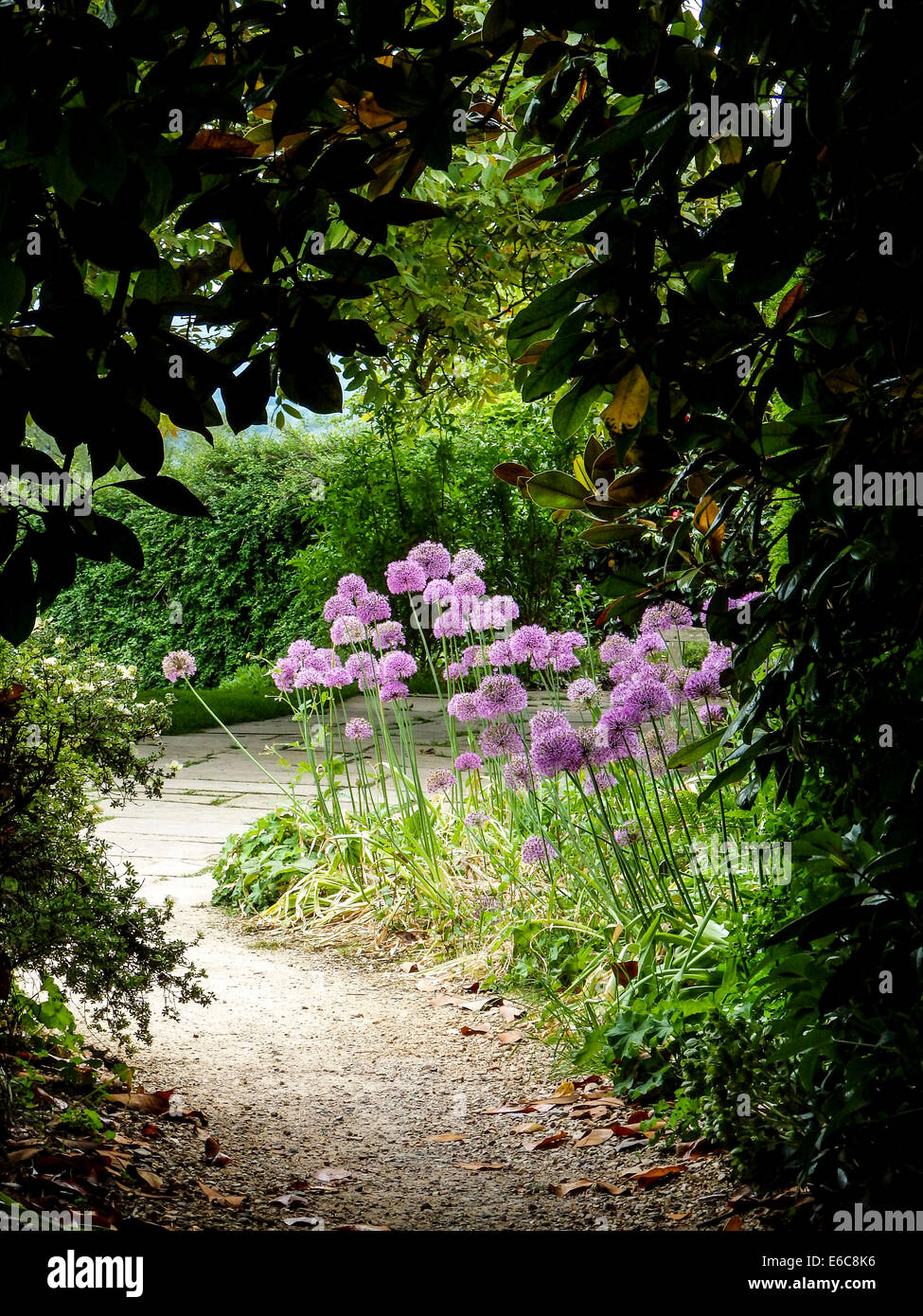 Archway garden hi-res stock photography and images - Alamy