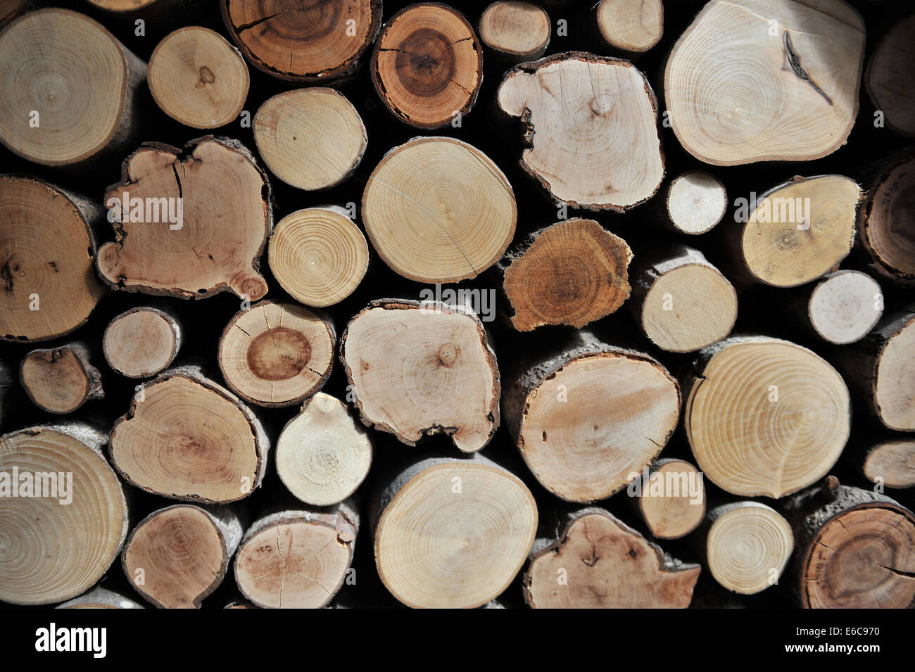 Pile of logs ready for an open fire. Pictured are the close up of the ...