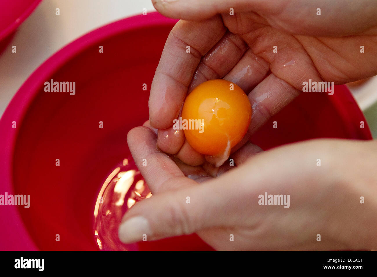 Ingredients and plates mixing modern and Mediterranean flavors Stock ...