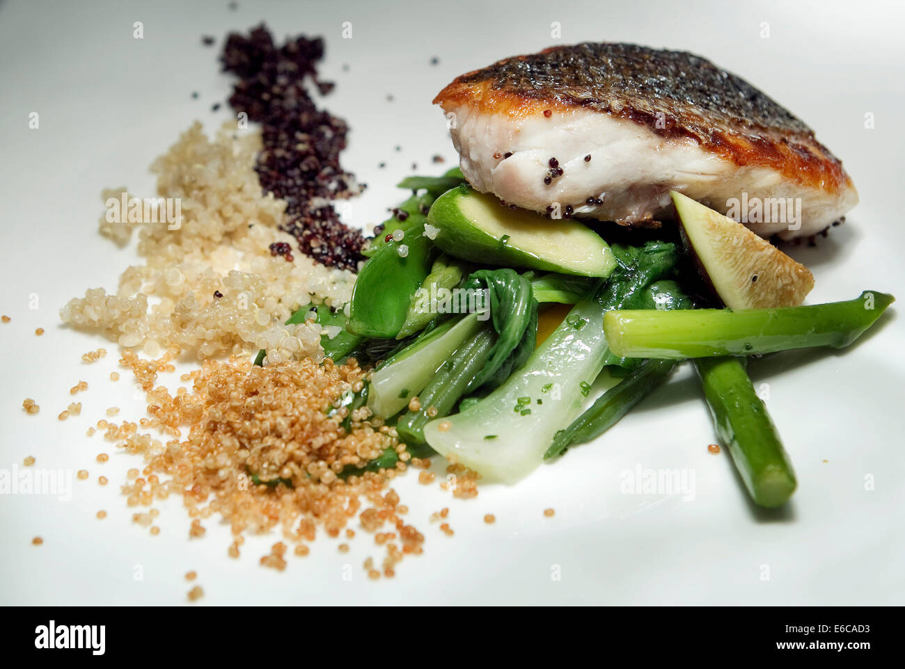 Ingredients and plates mixing modern and Mediterranean flavors Stock ...