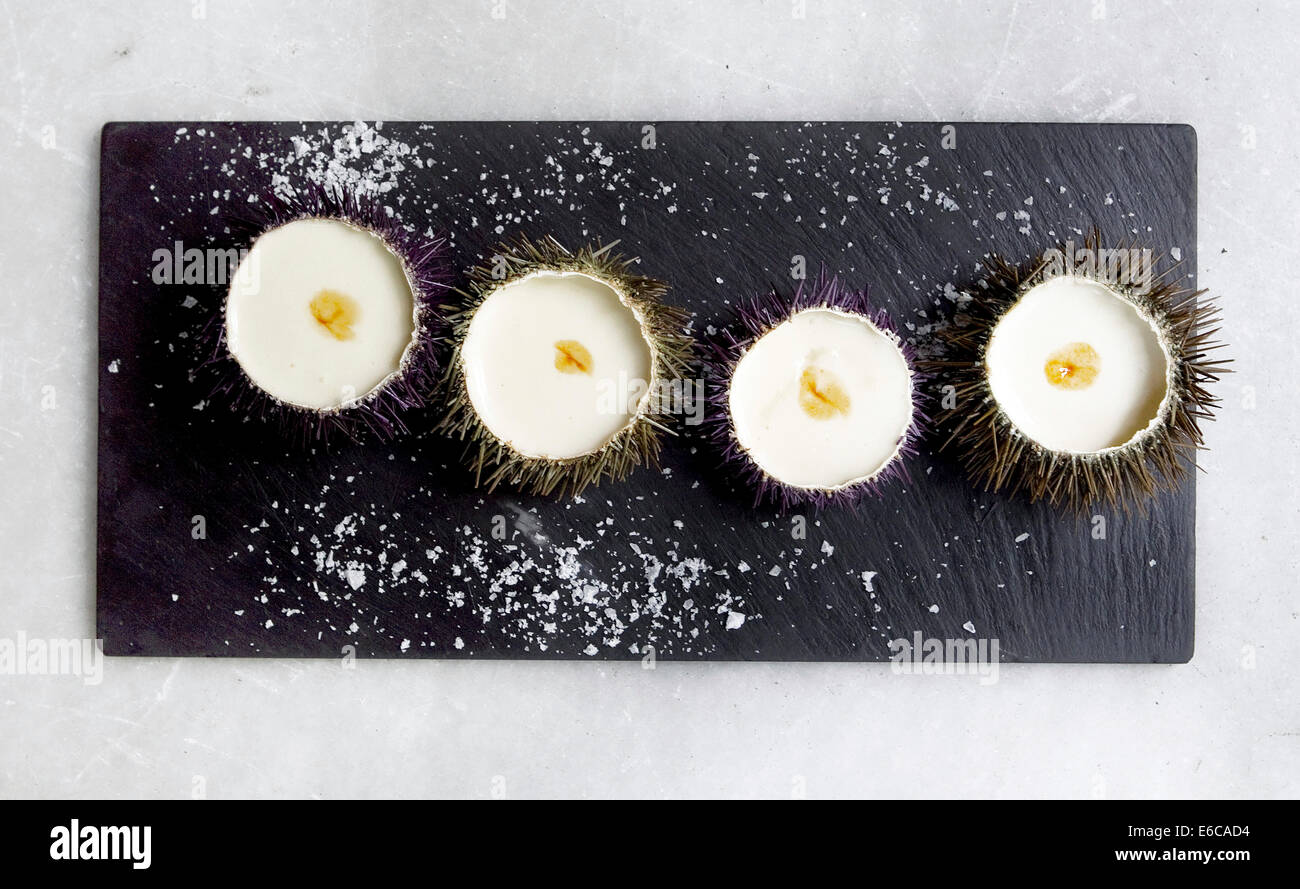 Ingredients and plates mixing modern and Mediterranean flavors Stock ...