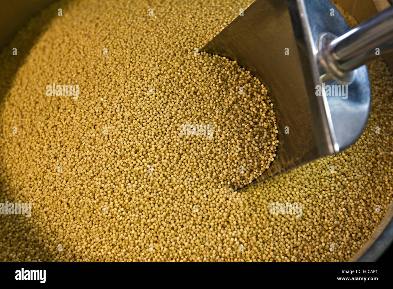 Ingredients and plates mixing modern and Mediterranean flavors Stock ...