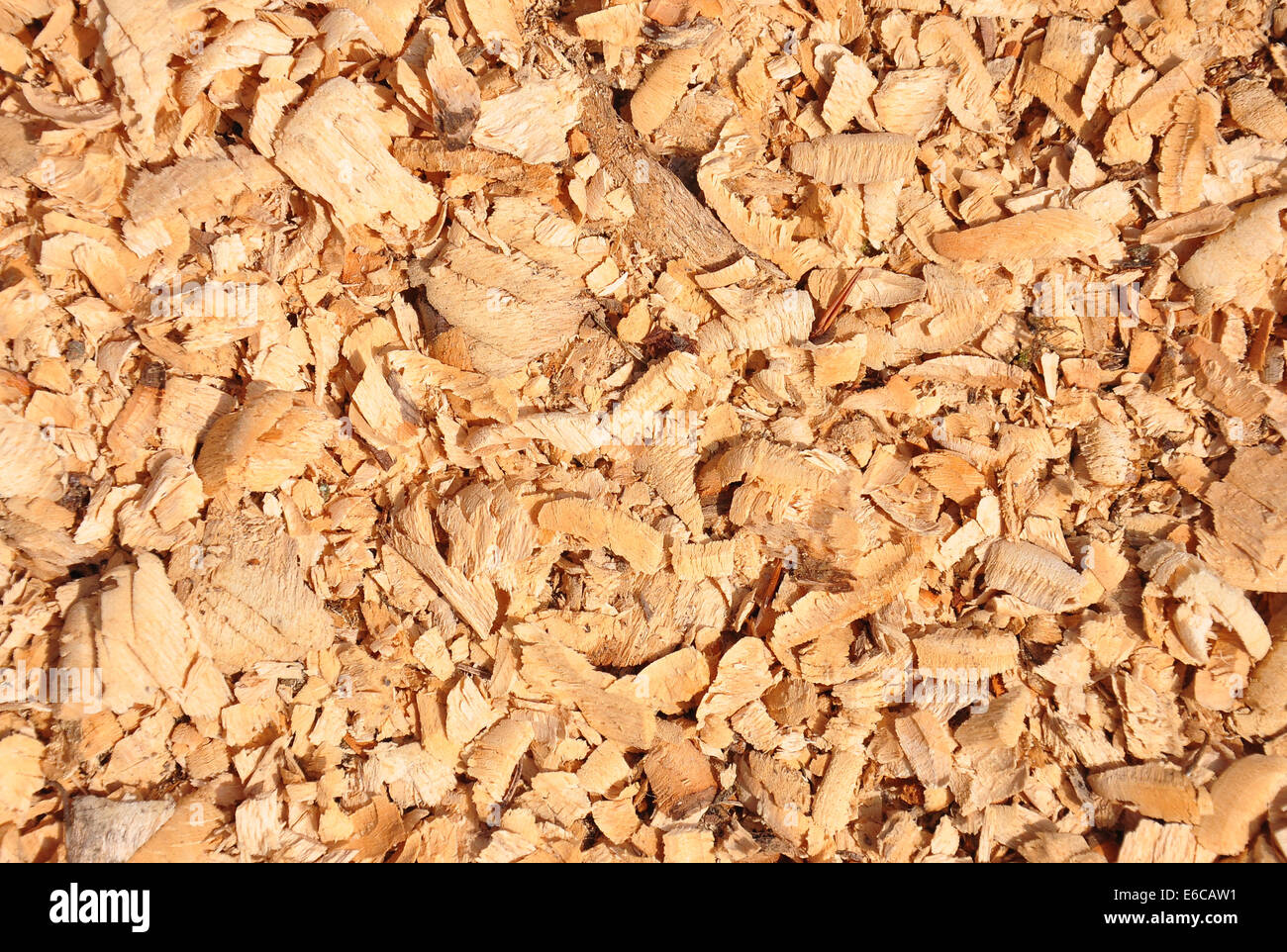 Beaver chips hi-res stock photography and images - Alamy