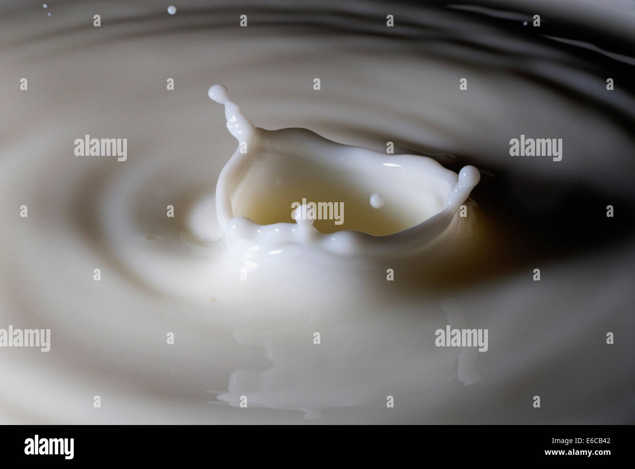 Drop of milk splashing, close up Stock Photo - Alamy