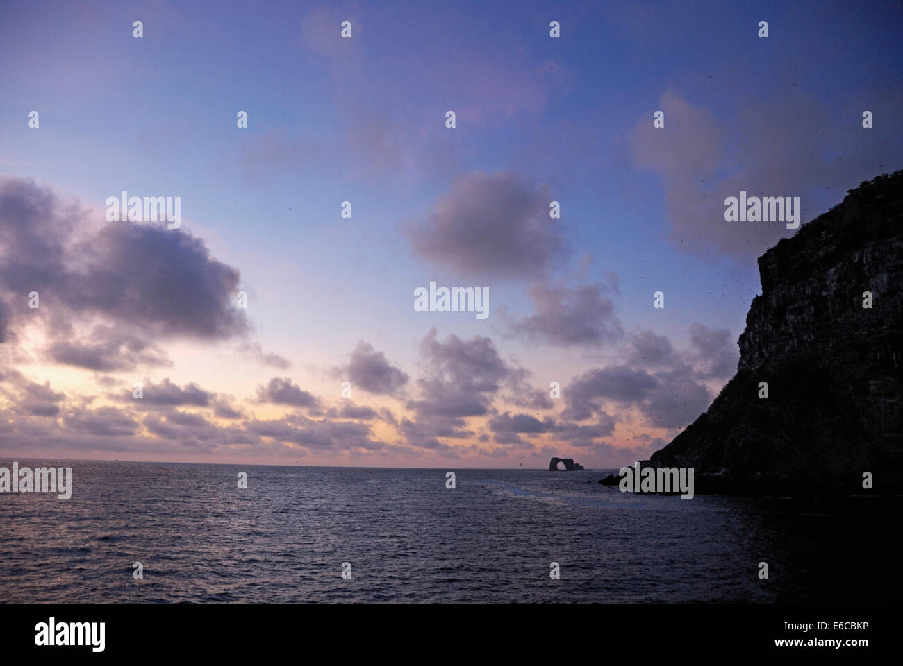 Darwins island galapagos ecuador High Resolution Stock Photography and ...