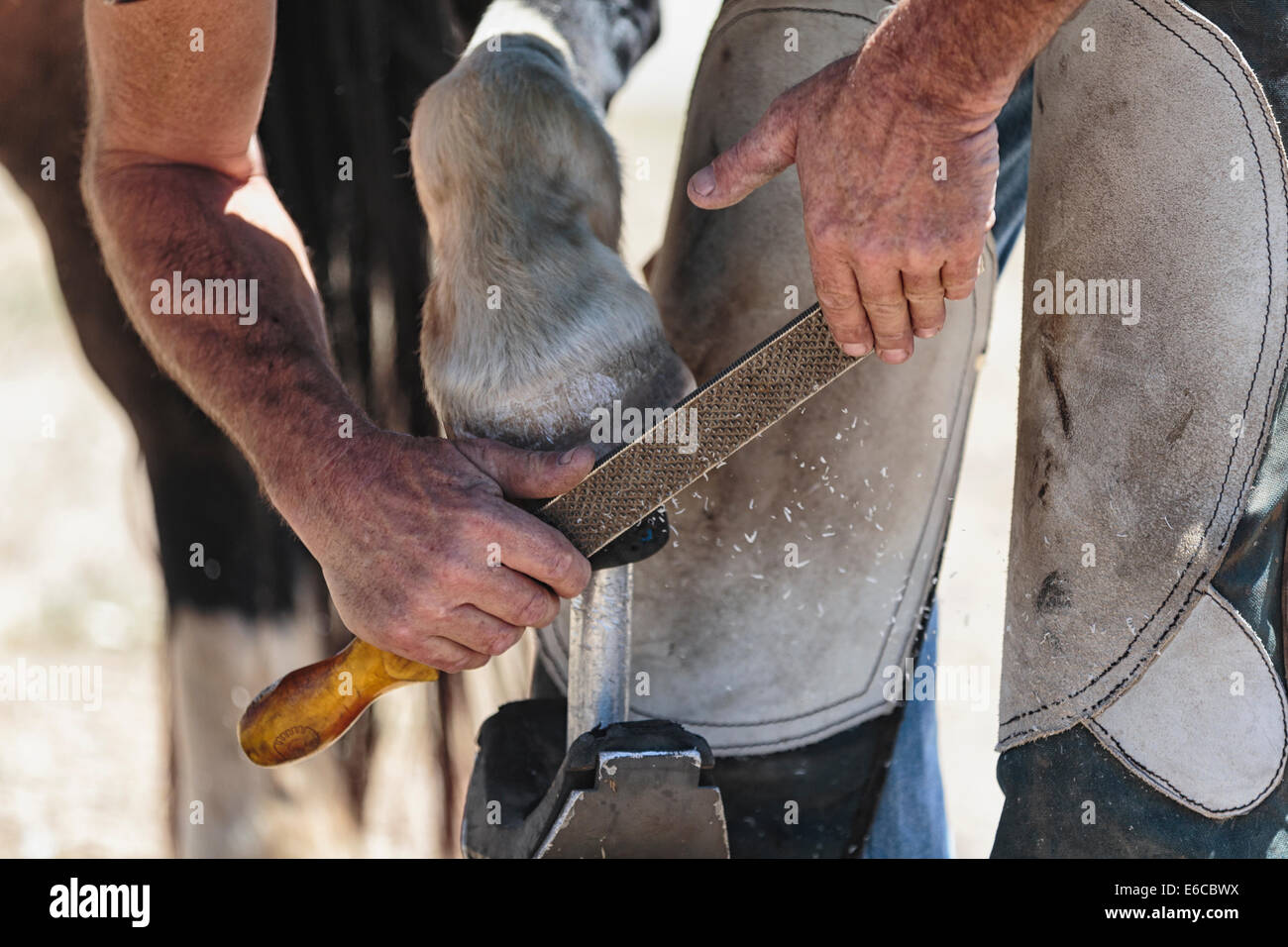 Horse shoe nails hi-res stock photography and images - Alamy