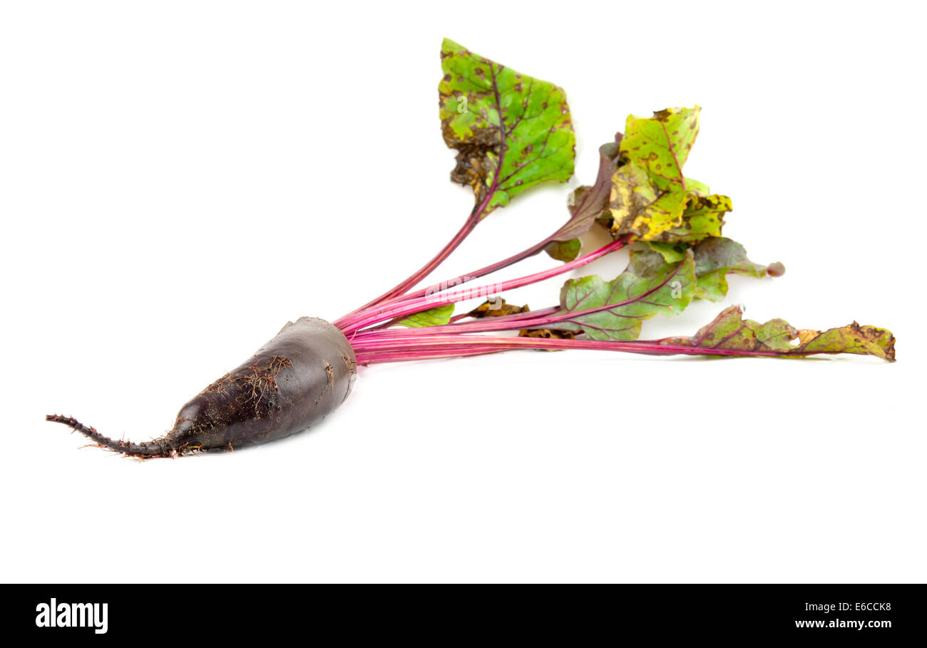 beetroot with leaves isolated on white Stock Photo - Alamy