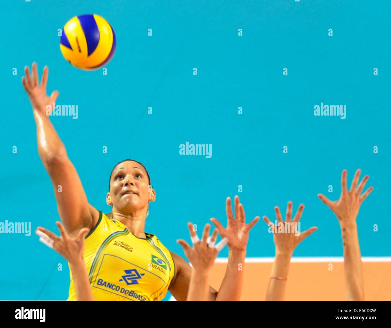 Tokyo, Japan. 20th Aug, 2014. Tandara Caixeta of Brazil spikes the ball ...