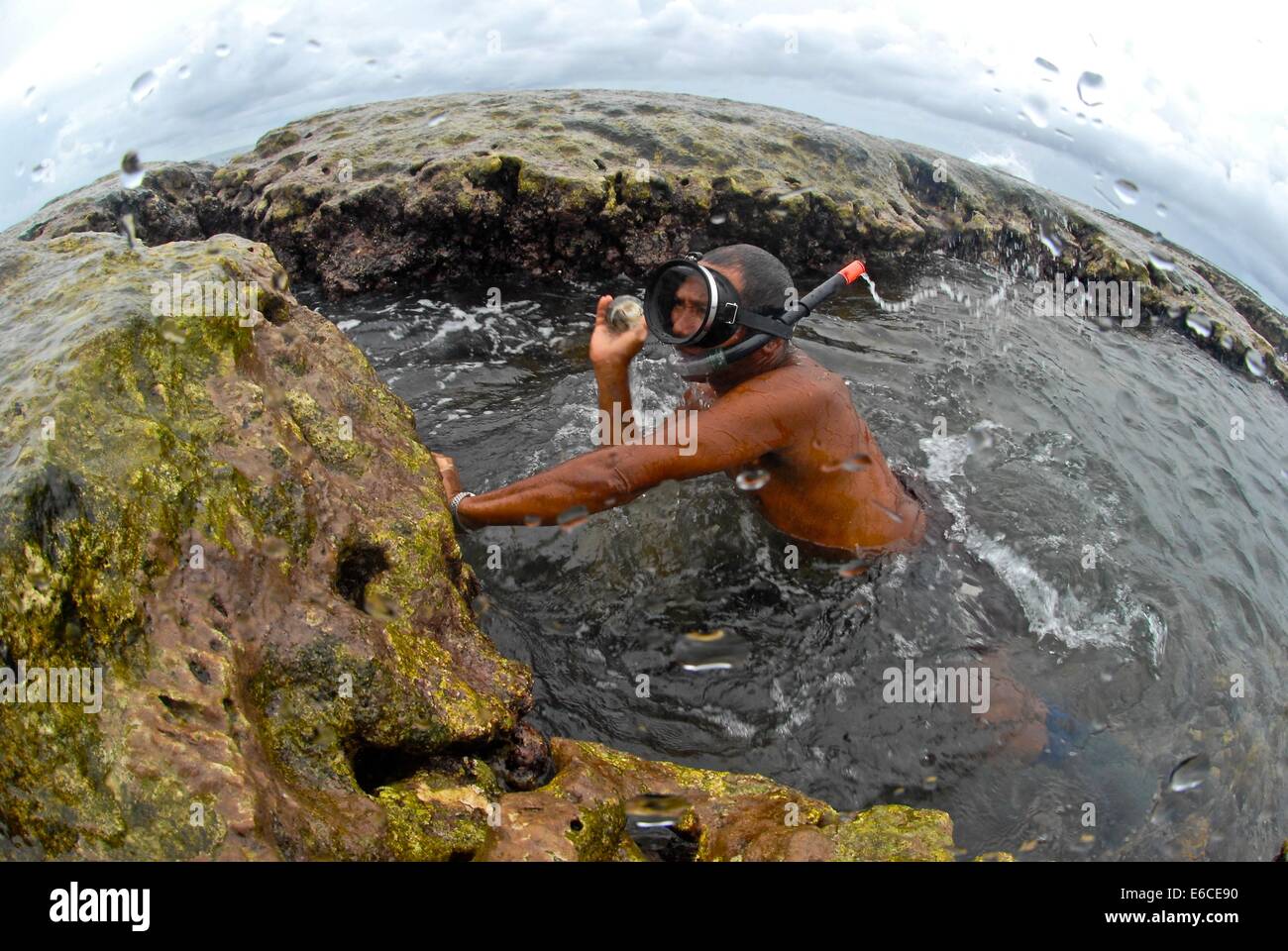 An indigenous Kuna fisherman extracts shells and other animals from the ...