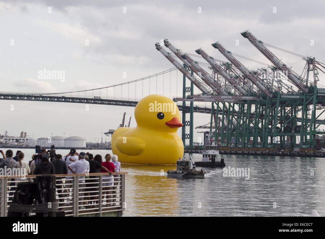 Los Angeles, California, USA. 20th Aug, 2014. A giant rubber duck, the ...
