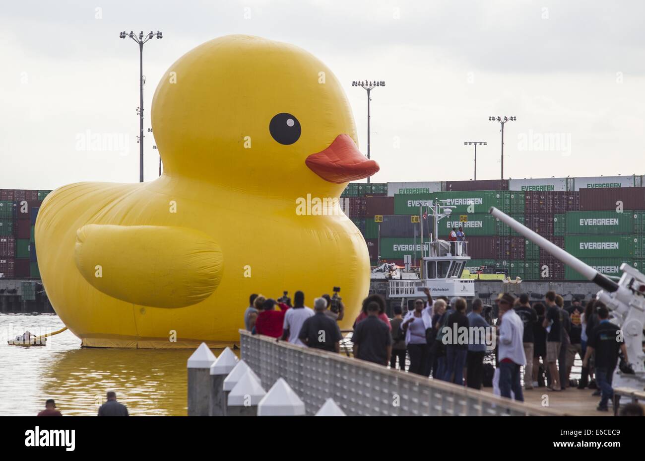 Los Angeles, California, USA. 20th Aug, 2014. A giant rubber duck, the ...