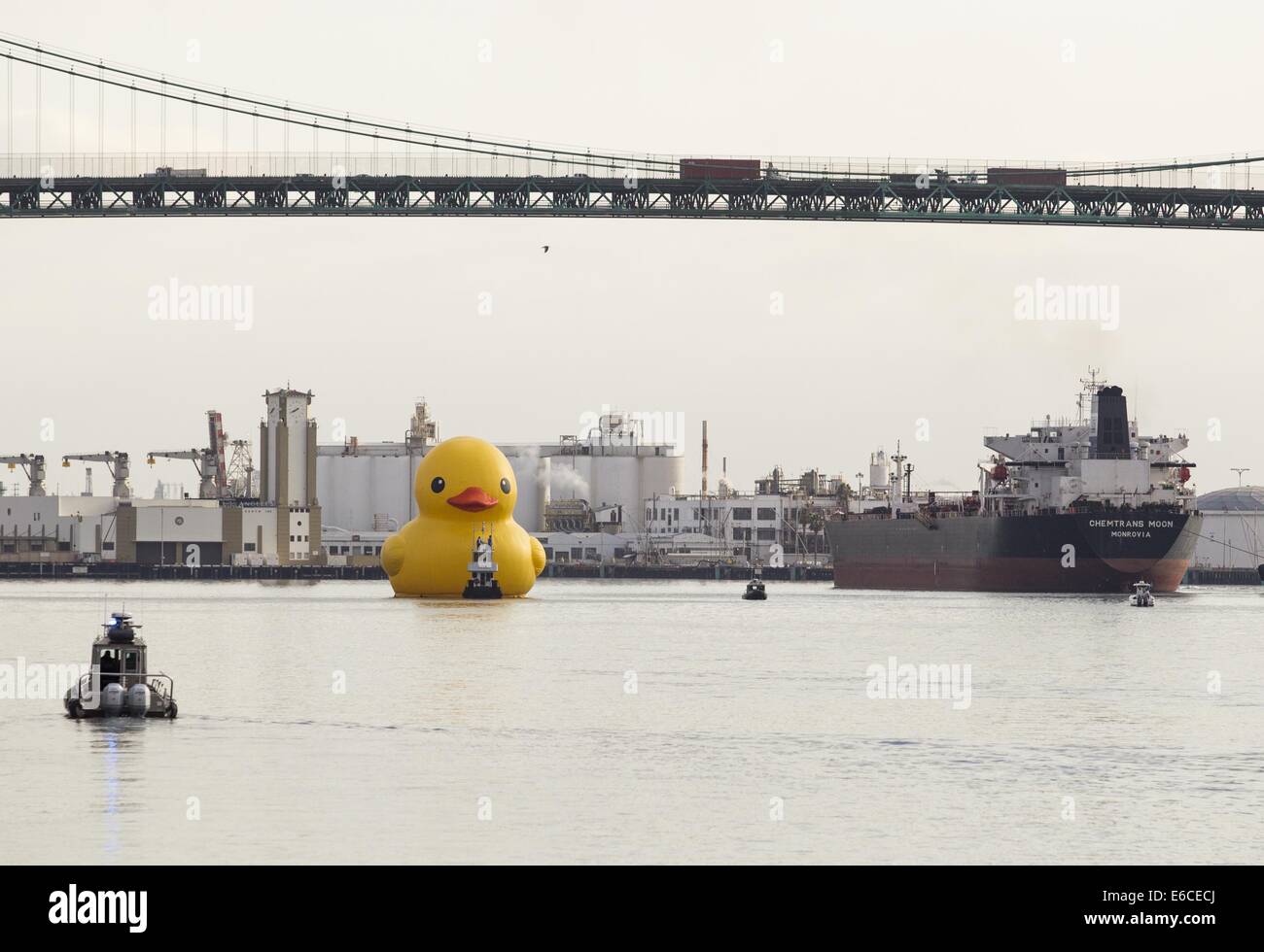 Los Angeles, California, USA. 20th Aug, 2014. A giant rubber duck, the ...