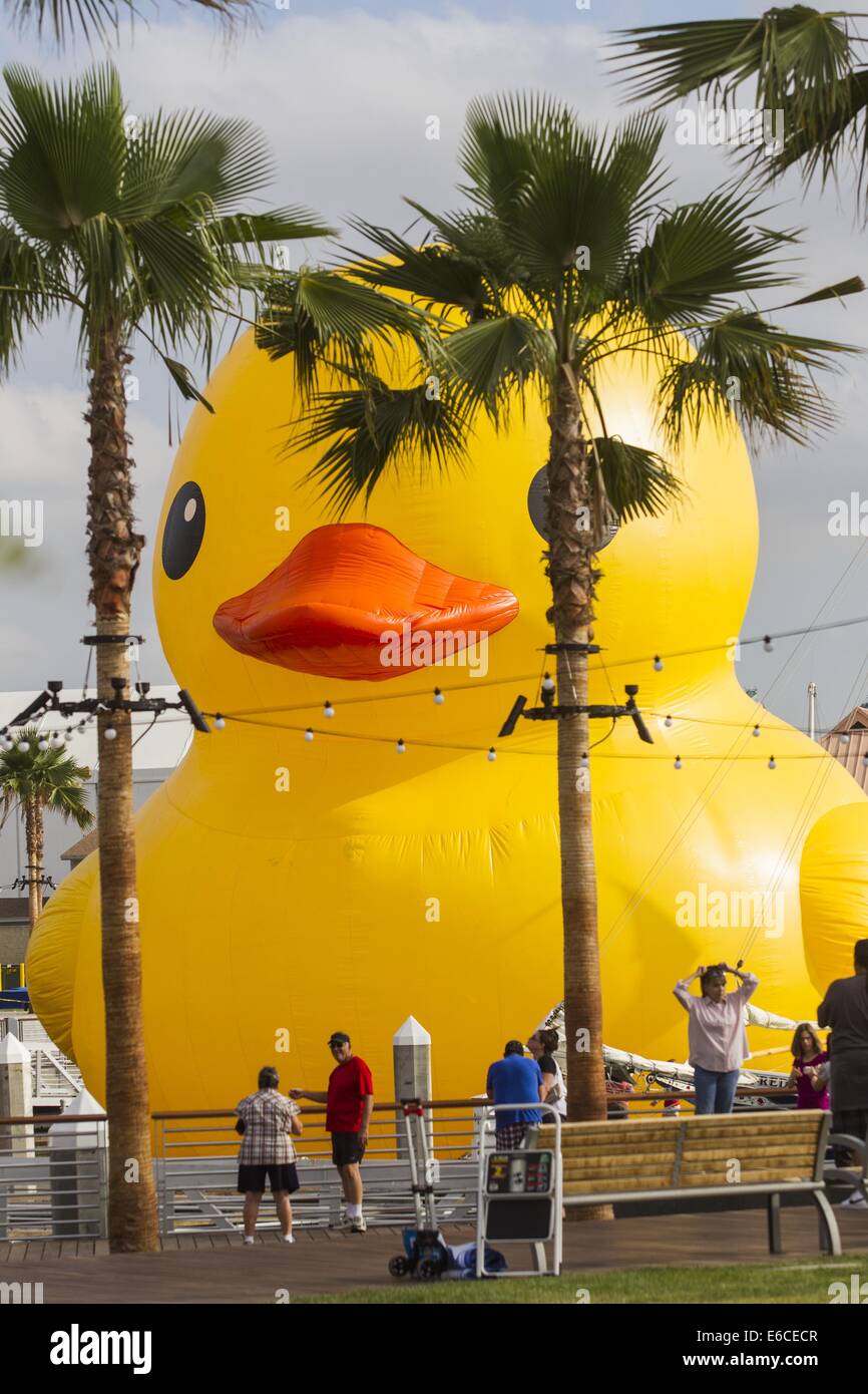 Los Angeles, California, USA. 20th Aug, 2014. A giant rubber duck, the ...