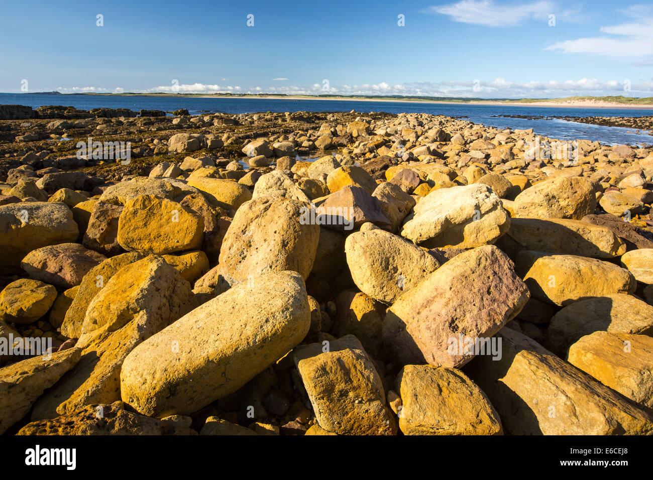 Sandstone rocks on the beach at Beadnell, Northumberland, UK Stock ...