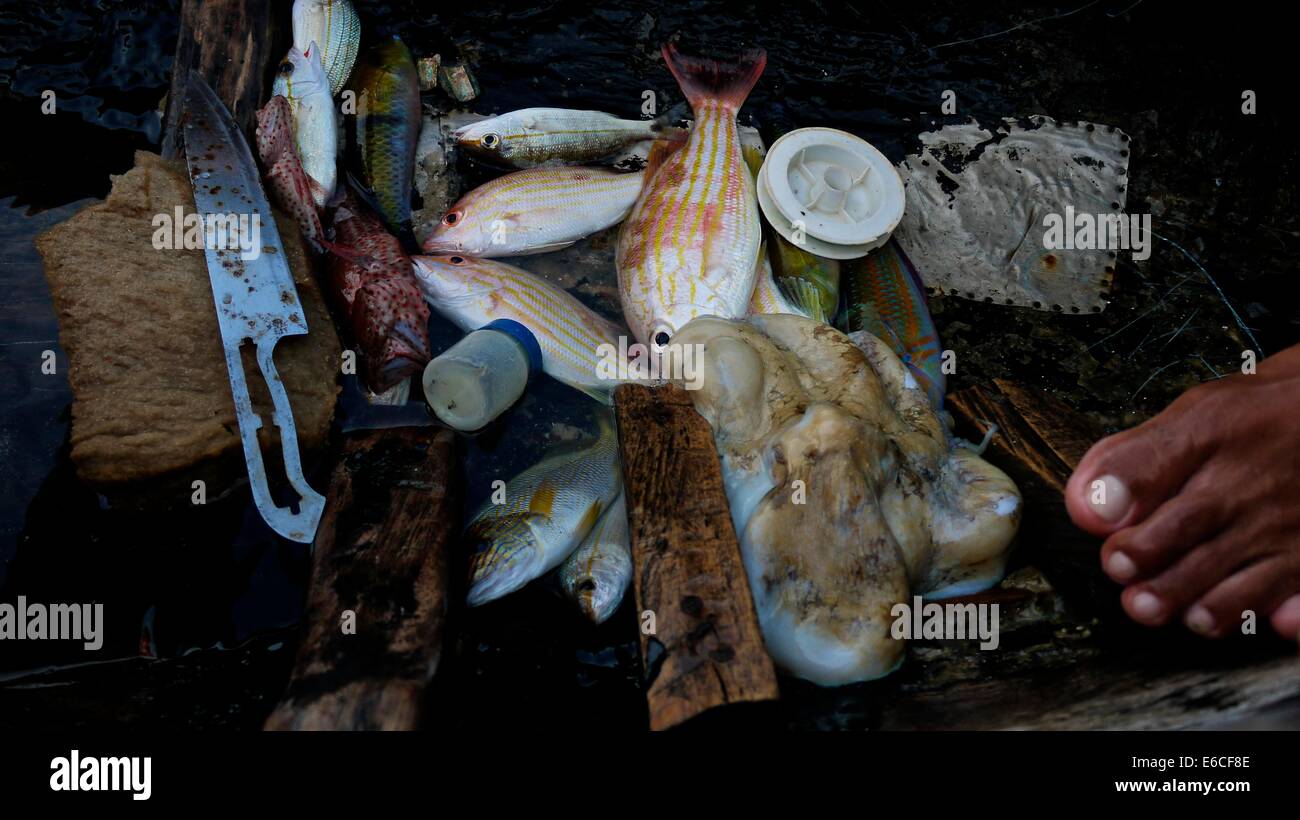 Kuna Indians fishing Stock Photo - Alamy