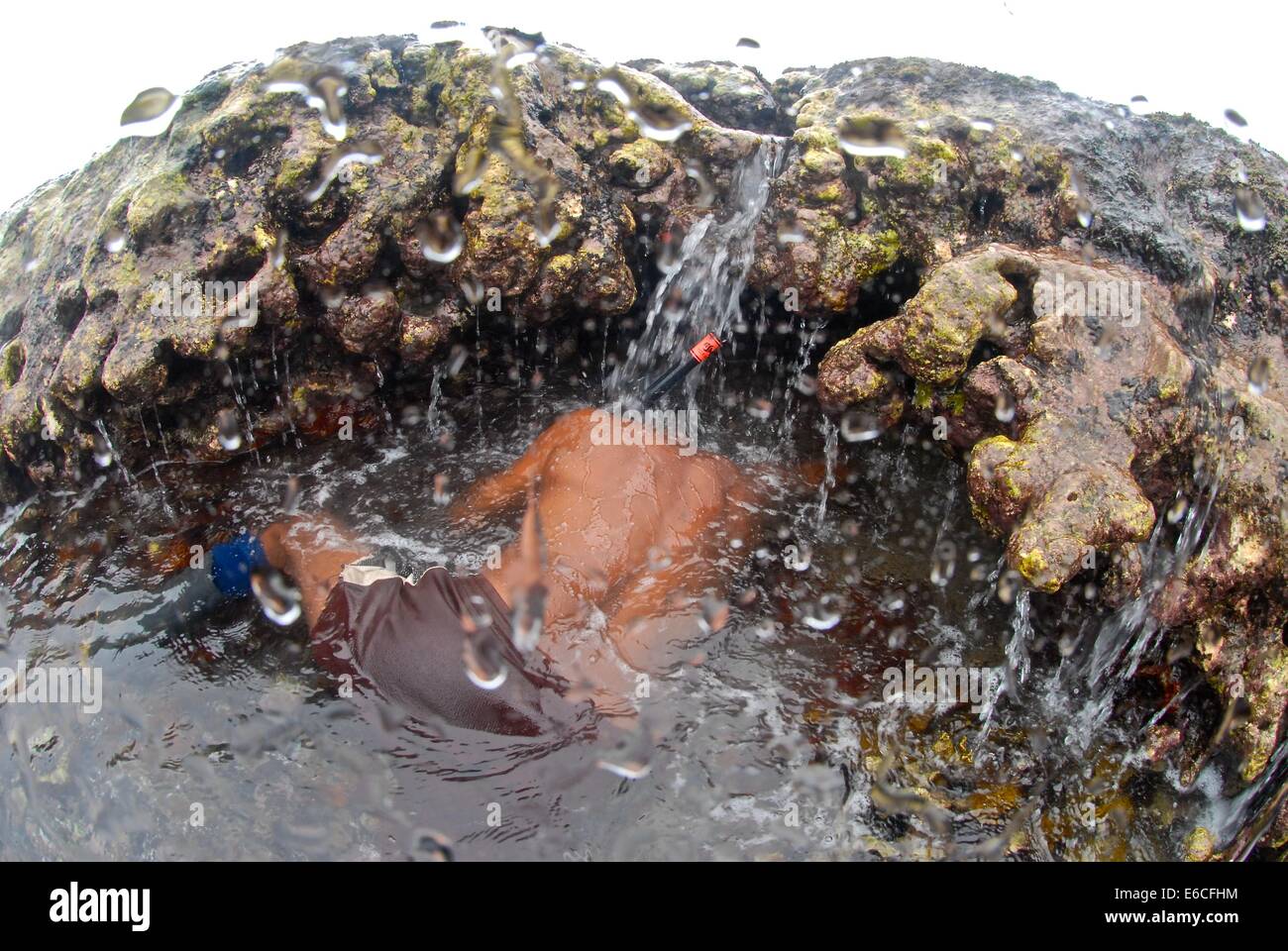 An indigenous Kuna fisherman extracts shells and other animals from the ...