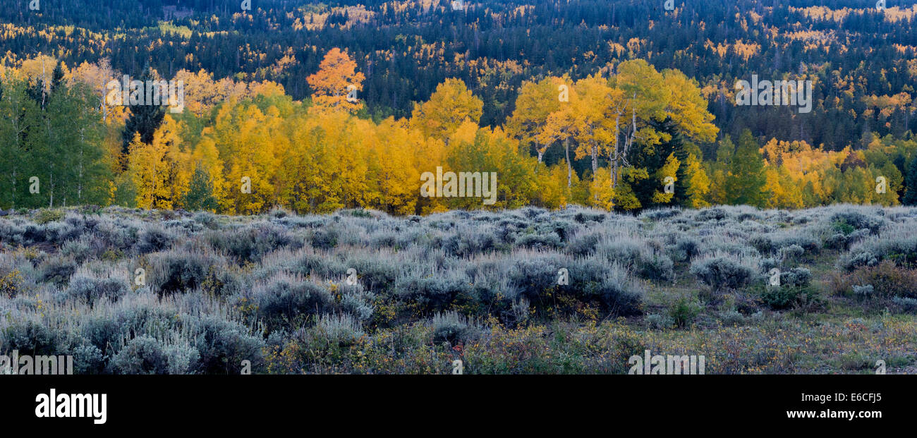Thousand lake mountain utah hi-res stock photography and images - Alamy