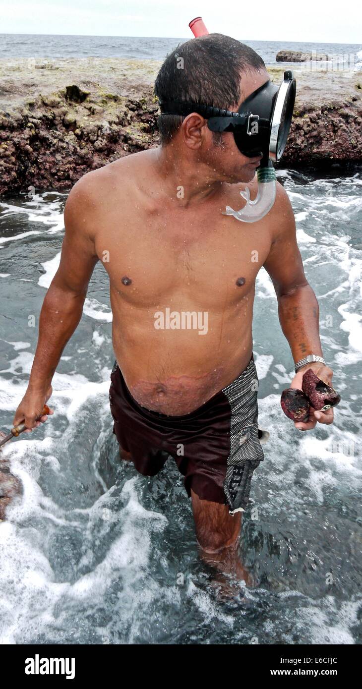 An indigenous Kuna fisherman extracts shells and other animals from the ...
