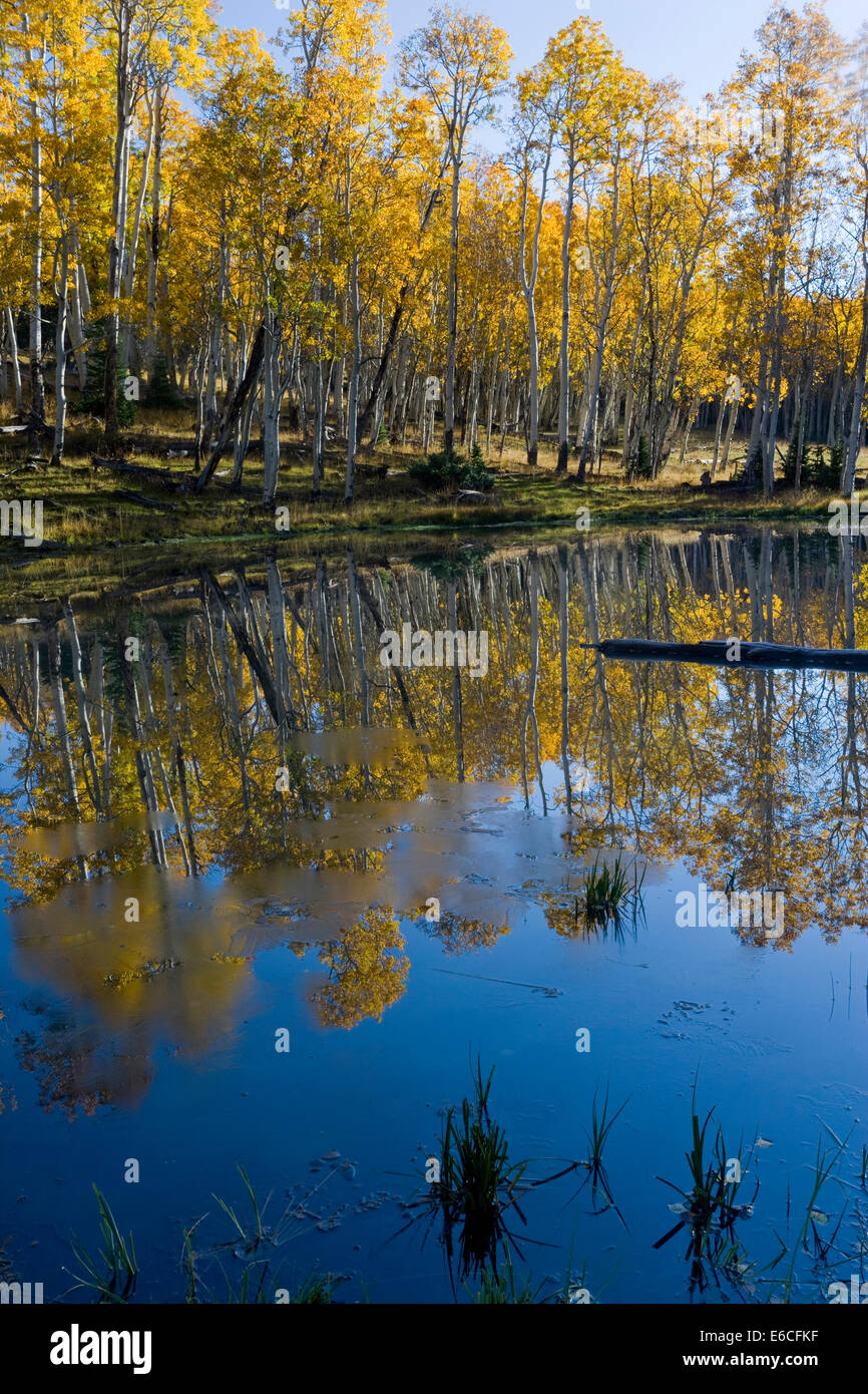 Sevier lake hi-res stock photography and images - Alamy