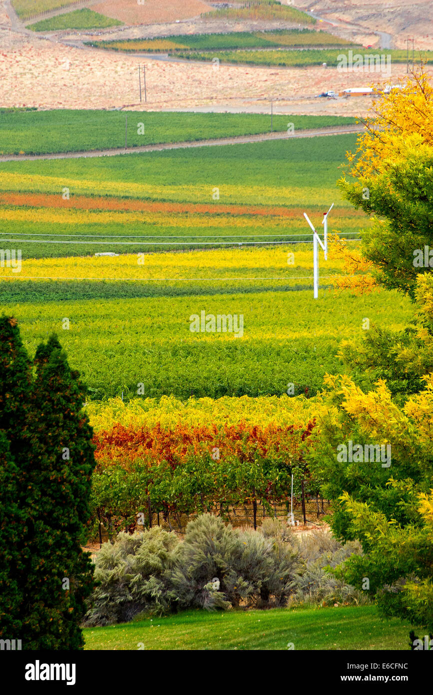 USA, Eastern Washington, Yakima Valley. Layers of color mark the ...