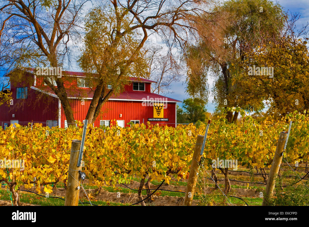 USA, Eastern Washington. Kristen-Rose vineyard and winery in the Tri ...