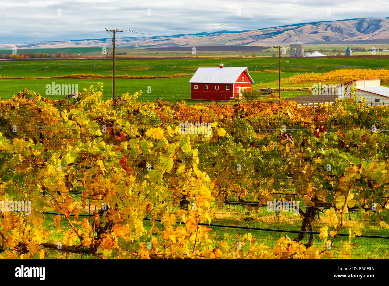 Walla walla mountains washington hi-res stock photography and images ...