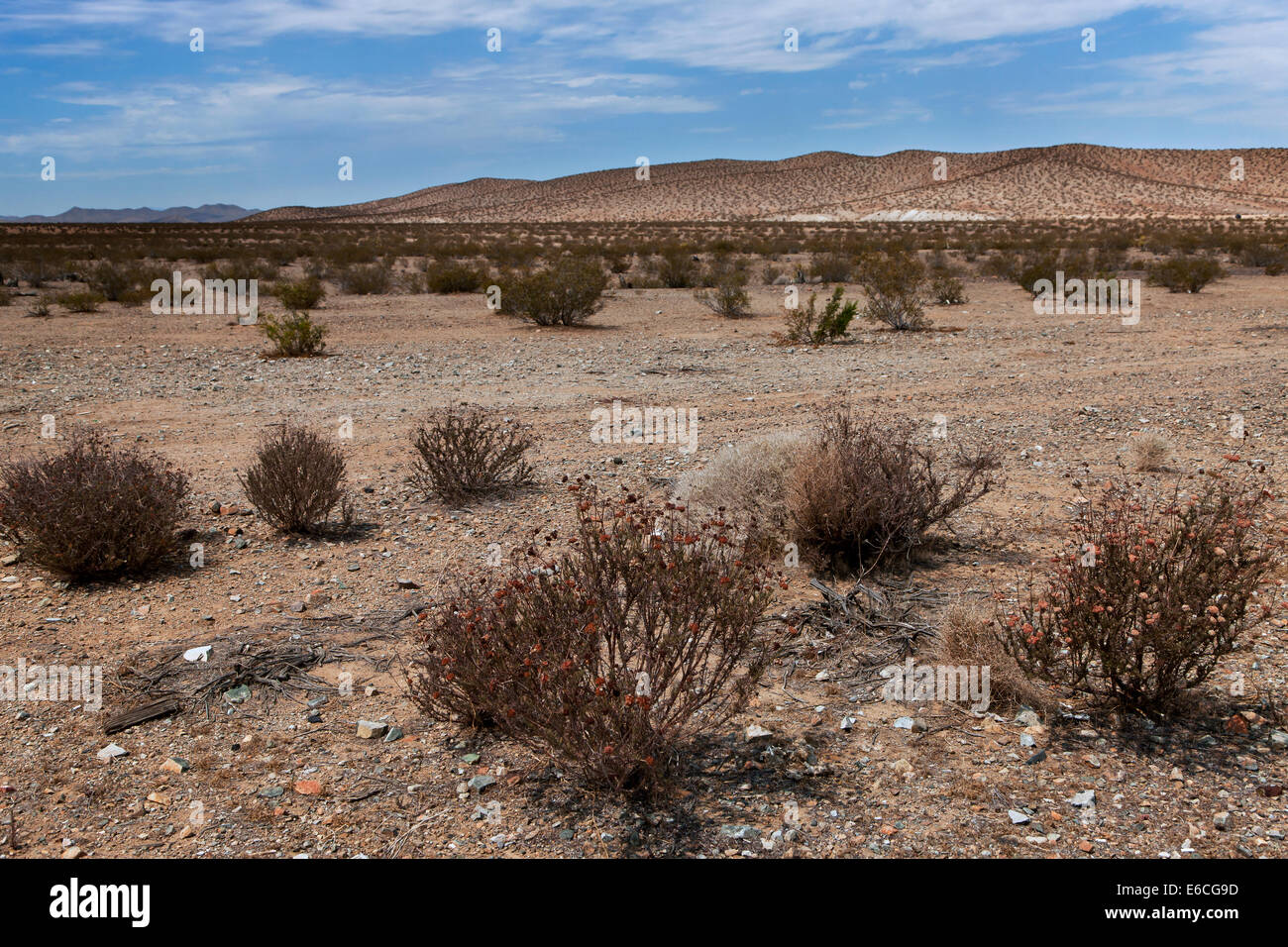 Deserted desolate hi-res stock photography and images - Alamy