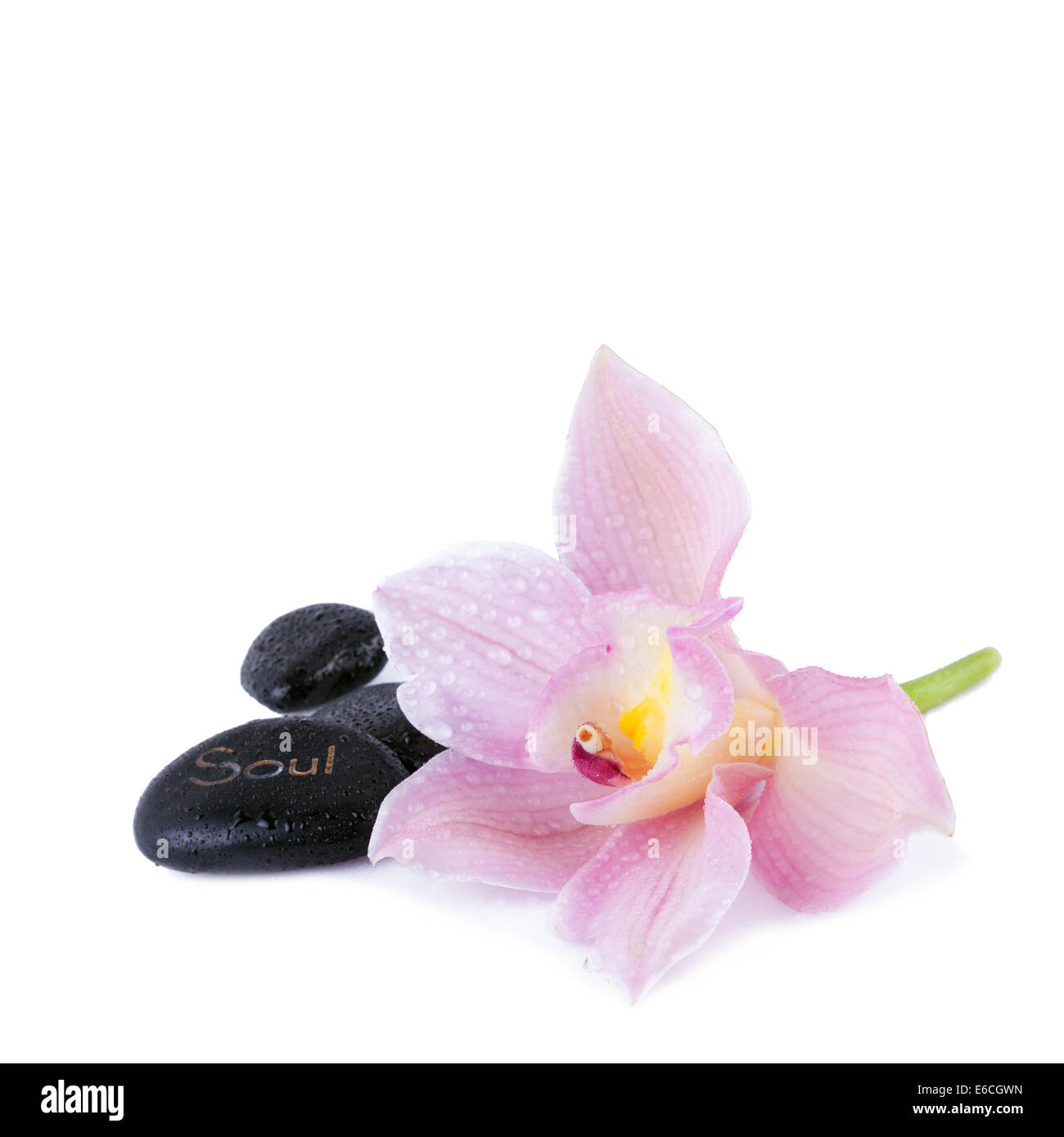 Text free spa hi-res stock photography and images - Alamy