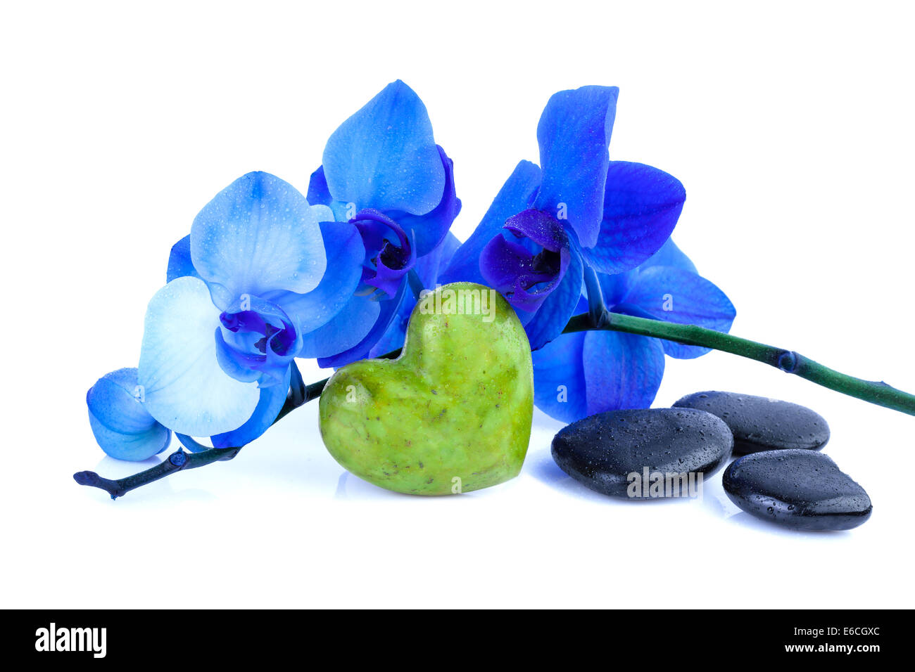 Concept spa hi-res stock photography and images - Alamy