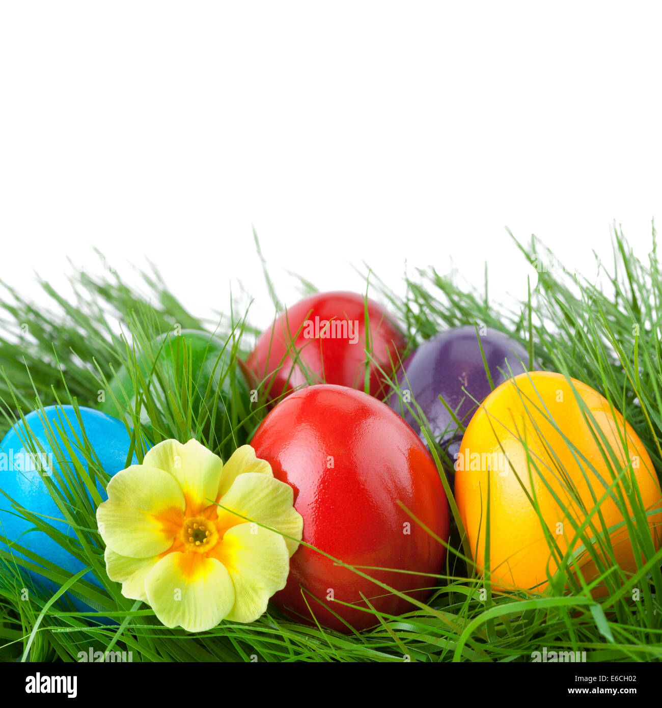Easter flower border hi-res stock photography and images - Alamy