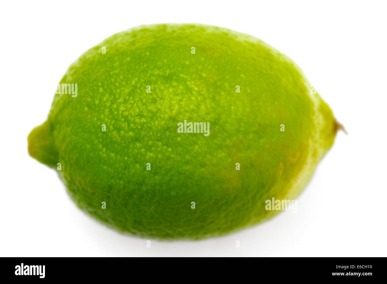 Lime, white background hi-res stock photography and images - Alamy