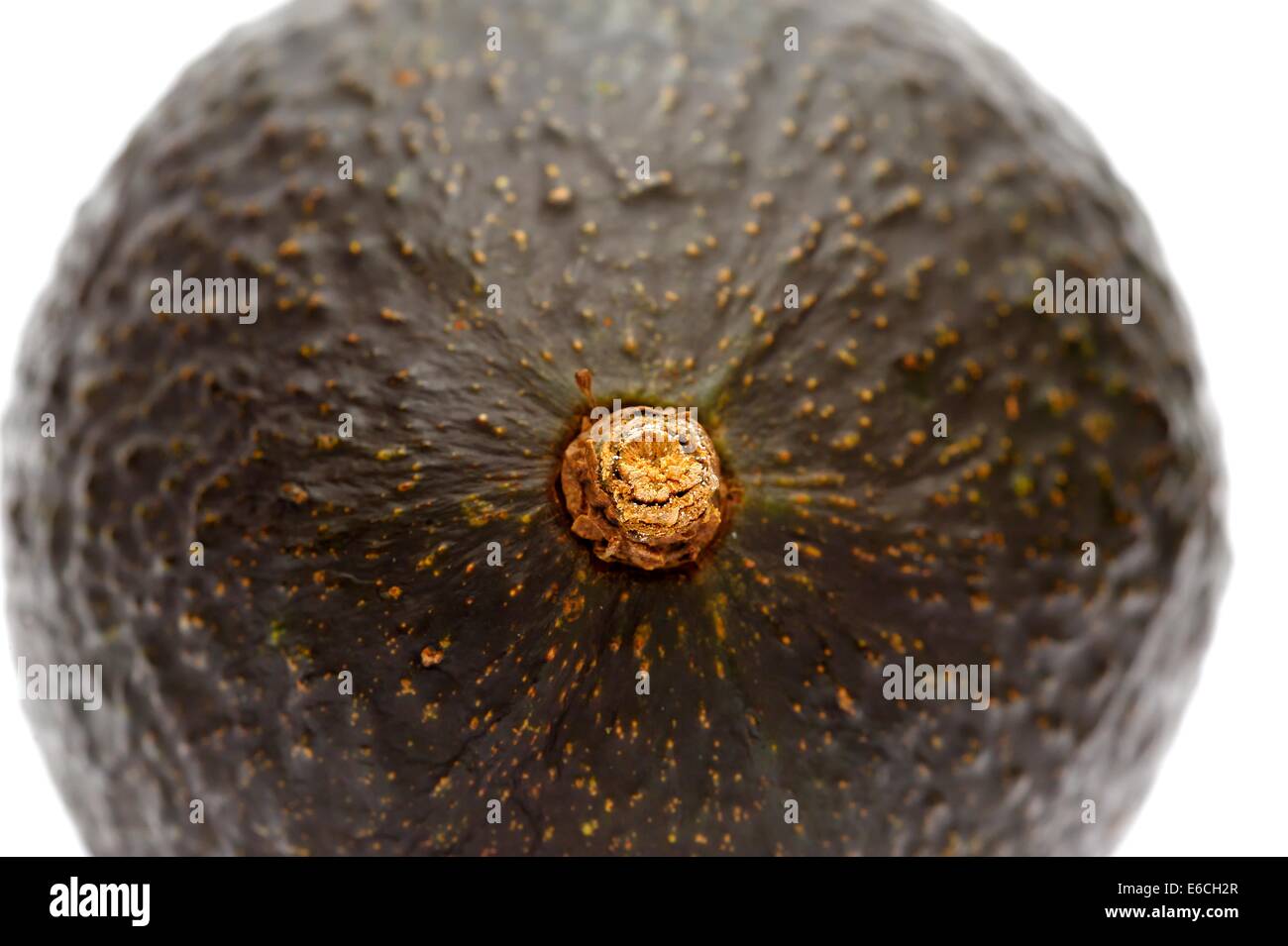 Avocado skin hi-res stock photography and images - Alamy
