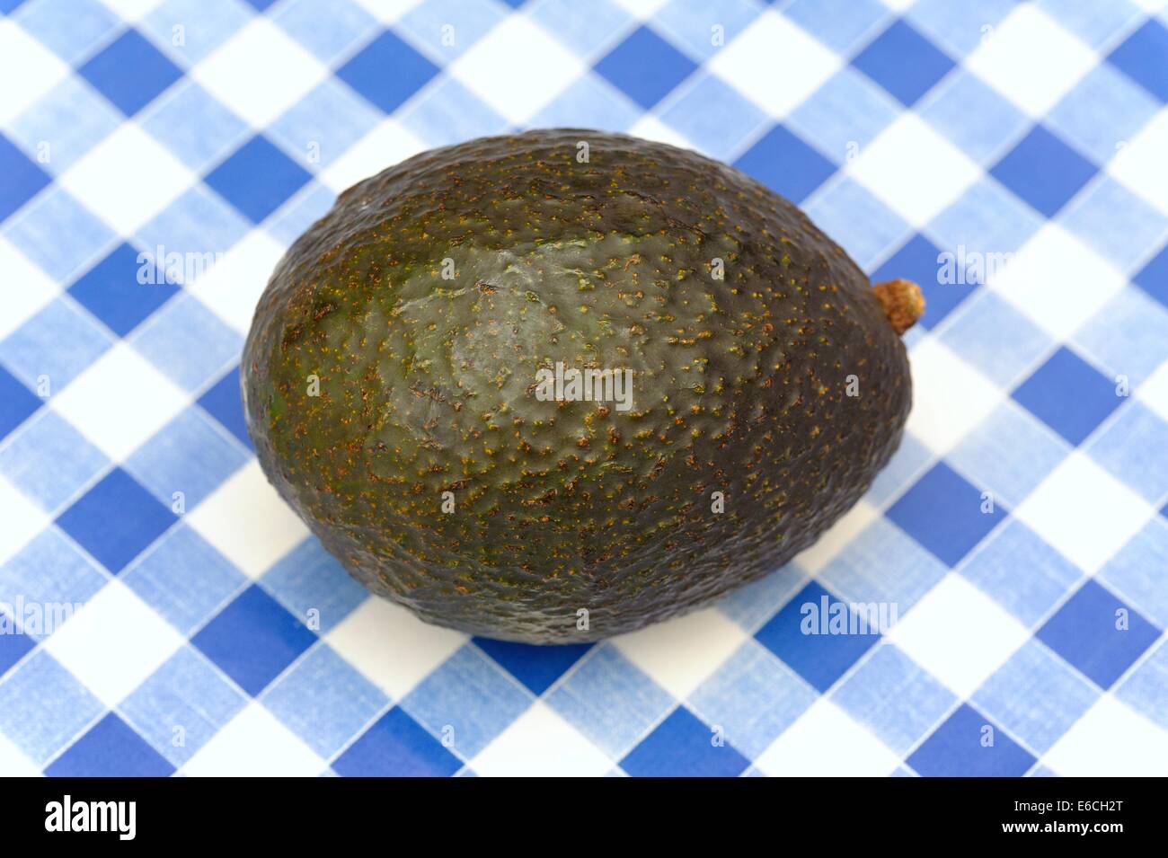 Avocado Persea americana Stock Photo - Alamy